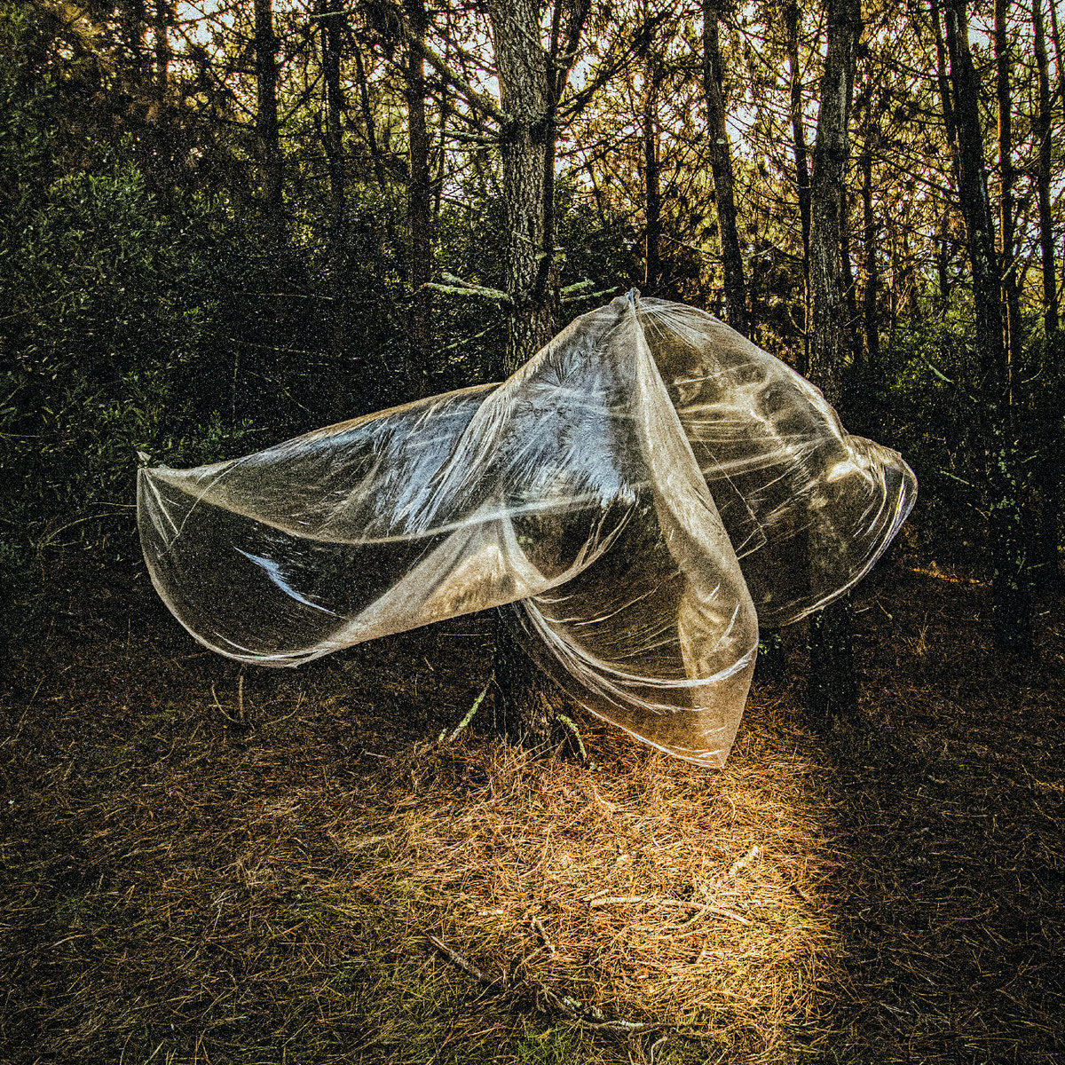 Storm Factory – Flur Discos